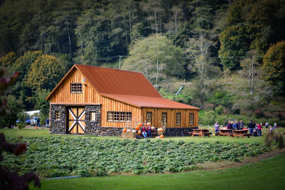 Barn Wedding Venue Hydrangea Ranch Recreational Event Center
