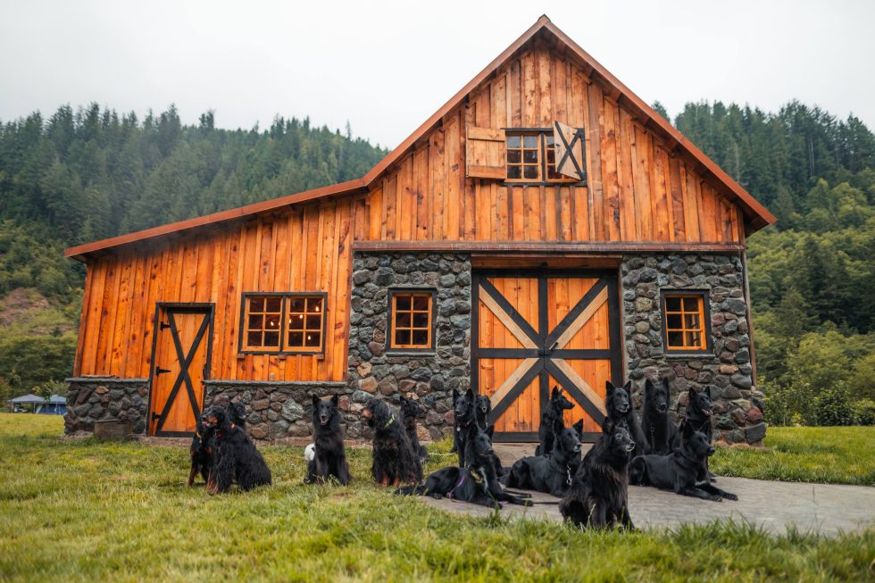 Barn Wedding Venue Hydrangea Ranch Recreational Event Center
